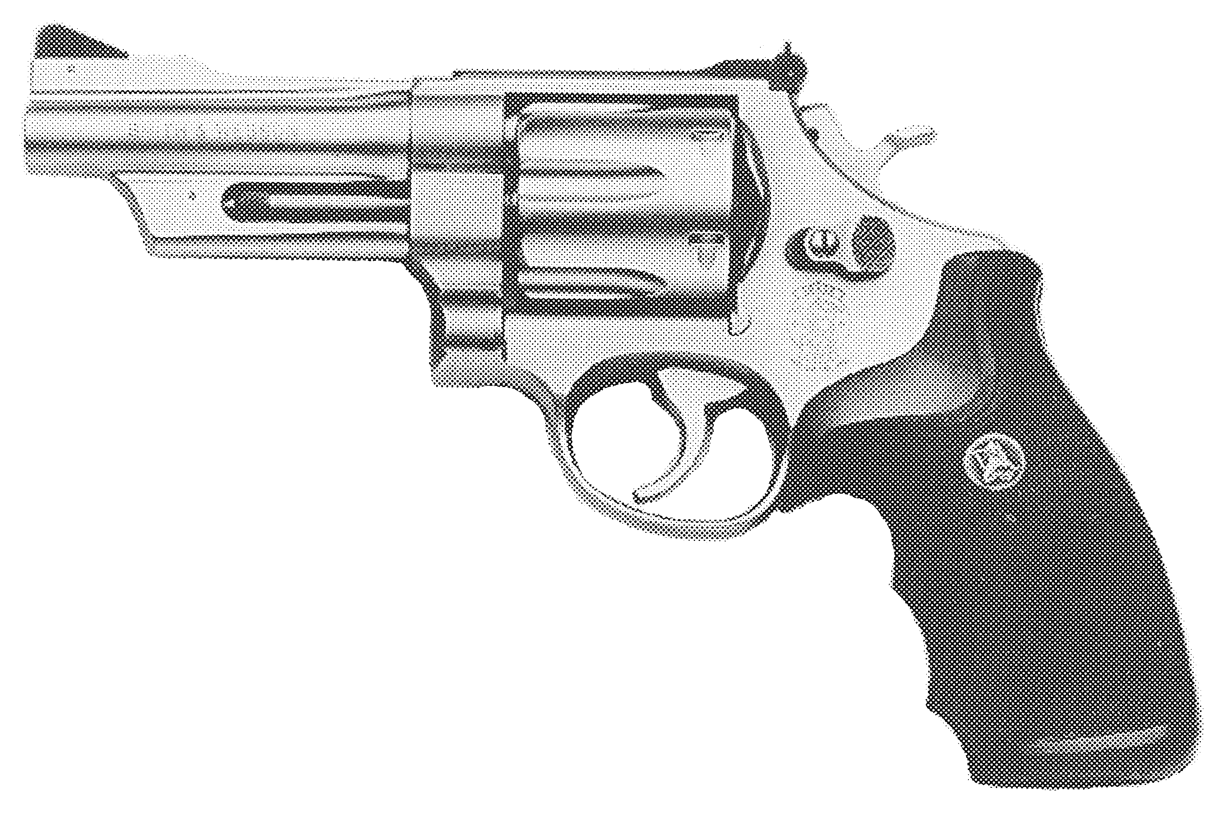 SMITH WESSON Model 629 2 629 3 629 4 Mountain Gun Gun Values By SMITH WESSON Model 629 2 629 3 629 4 Mountain Gun Gun Values By
