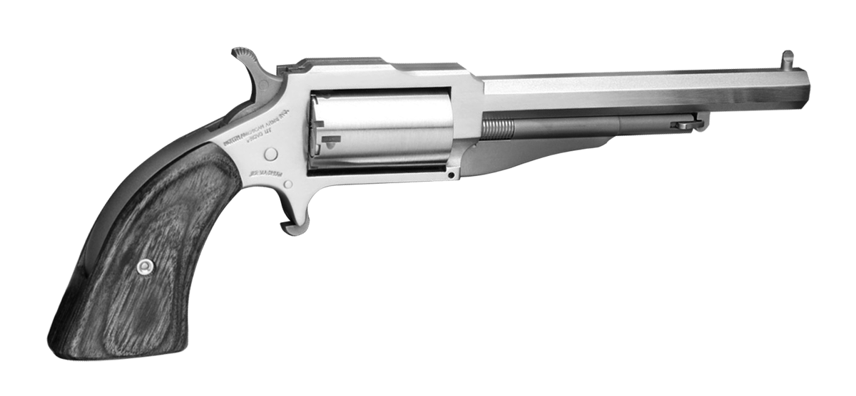NORTH AMERICAN ARMS "The Earl" Single-Action Revolver :: Gun Values by ...